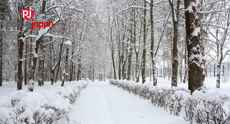 Heavy snow expected to hit northern Kyushu - Portal Japan