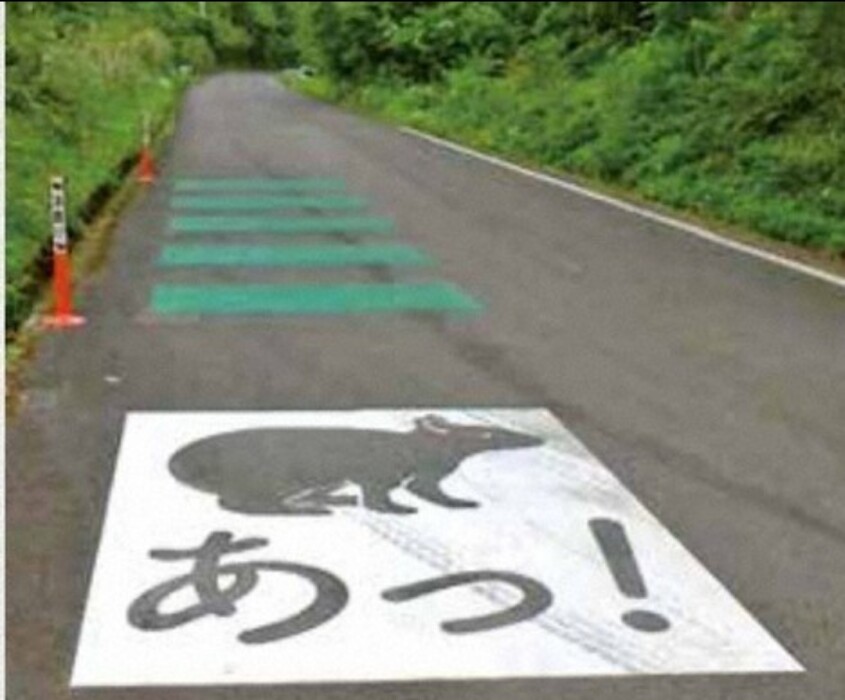 Screenshot_20230620-150109_Messenger - Portal Japan